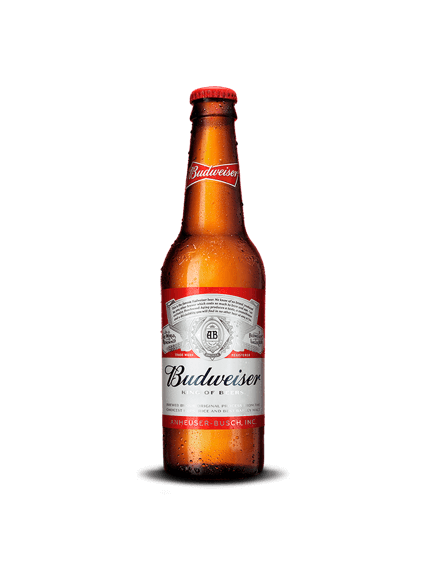 AB InBev India